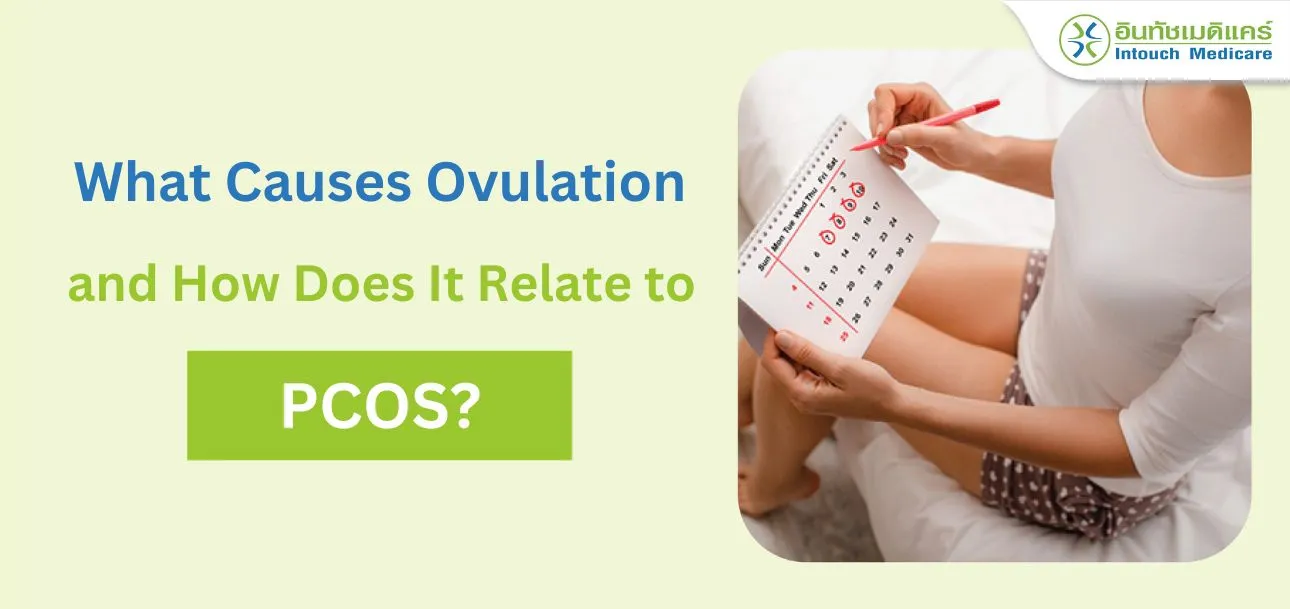 What is the cause of not ovulating? - intouchmedicare